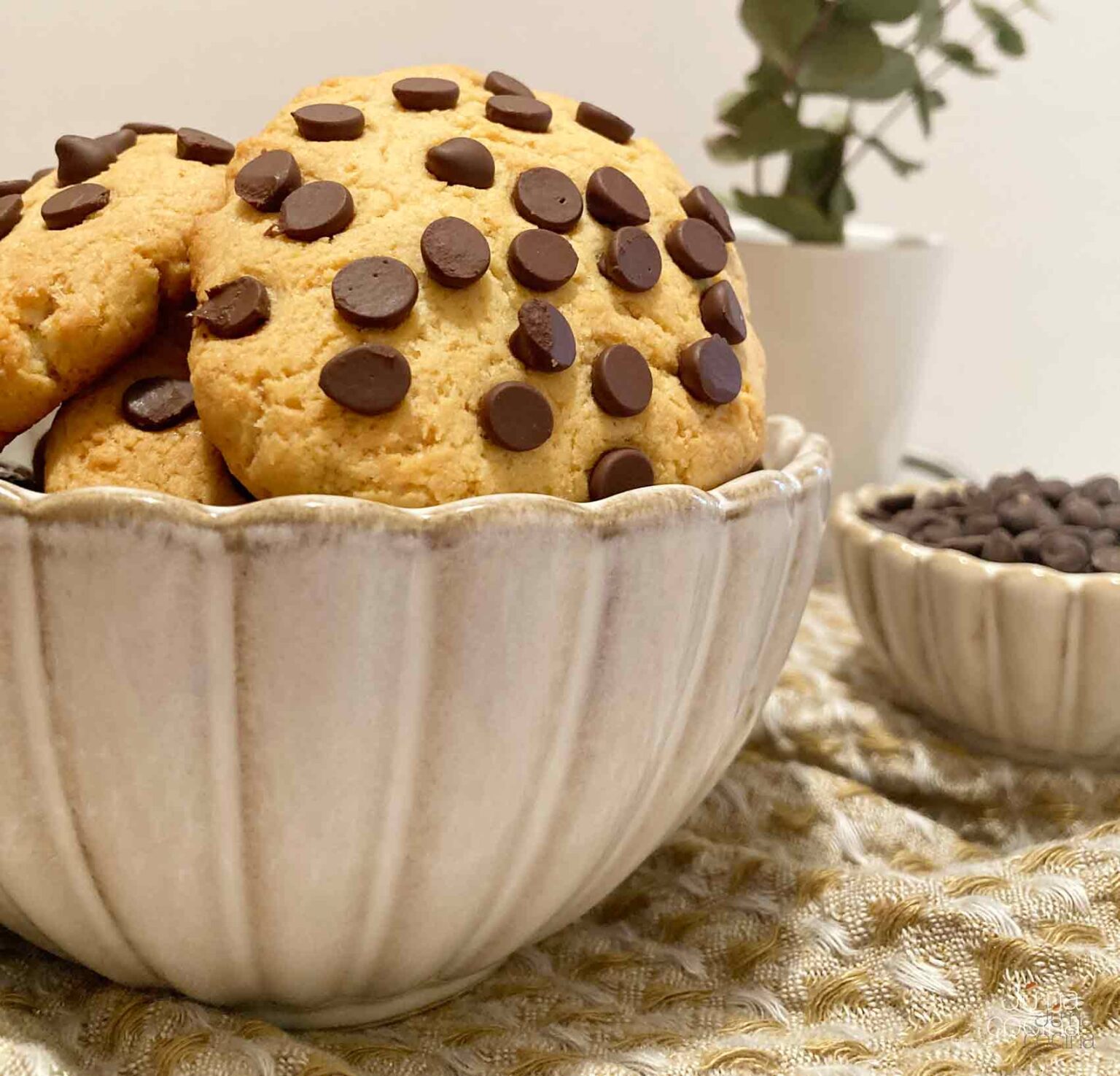 Galletas de soja y chocolate - Juna En La Cocina